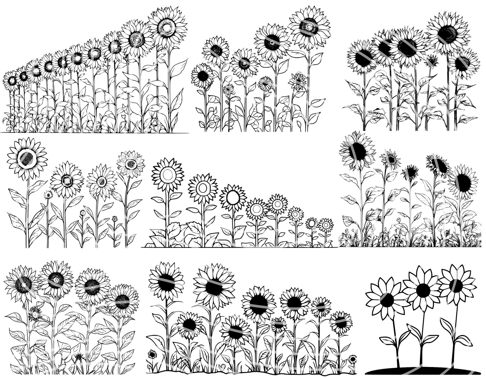 20 Sunflower Row SVG and PNG Bundle - Sunflower Black and White Svg ...
