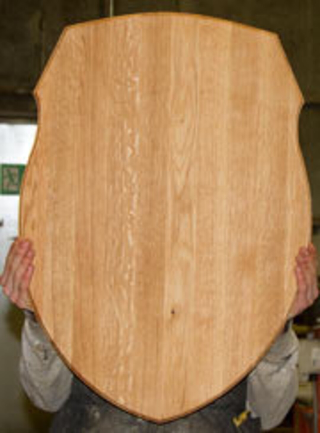 Oak Taxidermy or Award Shield - Shape SHG - Etsy UK