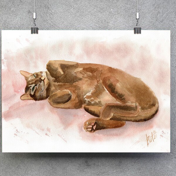 Abyssinian Cat - Etsy