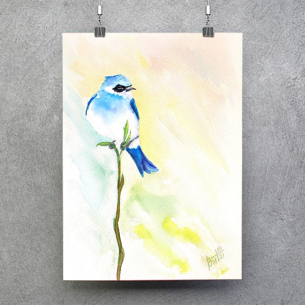Bluebird Print - Etsy