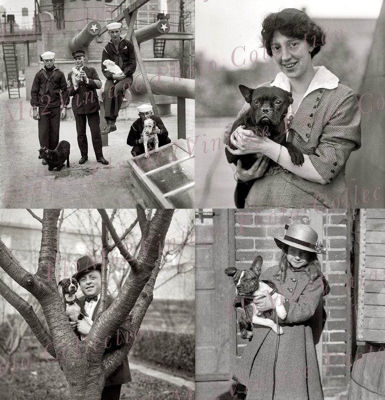 Vintage Journal Digital Photos Printable Portraits 1900s People Animals ...