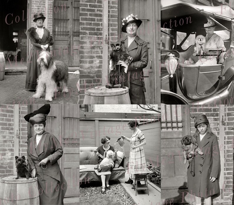 Vintage Journal Digital Photos Printable Portraits 1900s People Animals ...