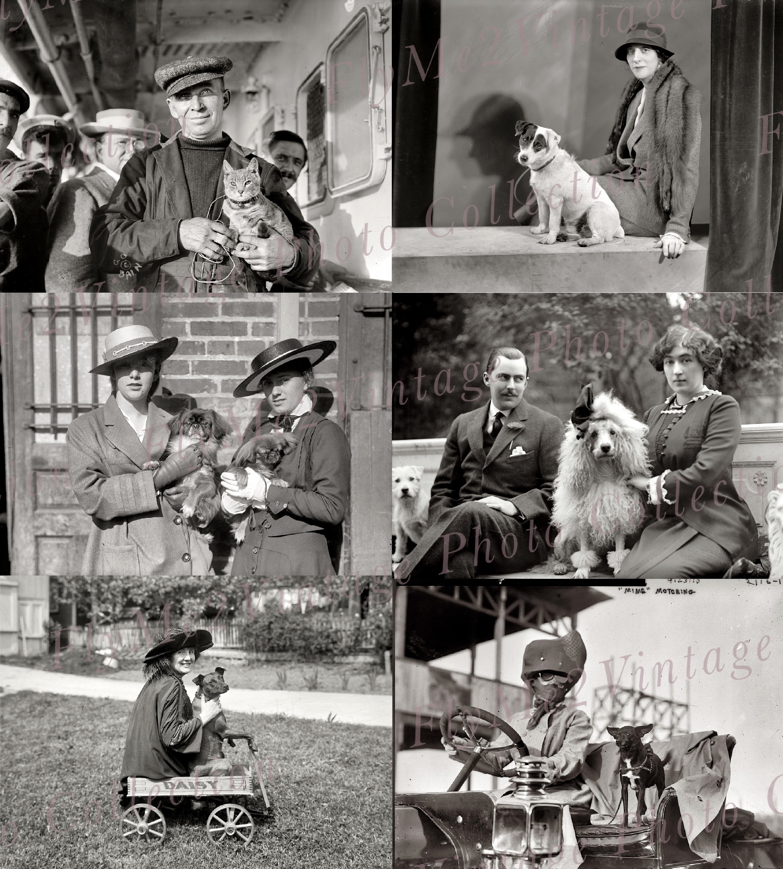 Vintage Journal Digital Photos Printable Portraits 1900s People Animals ...