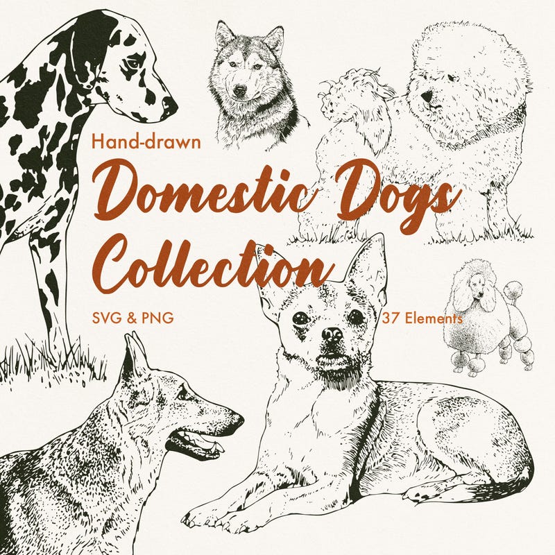 Vintage Dog Breed Clipart - Etsy