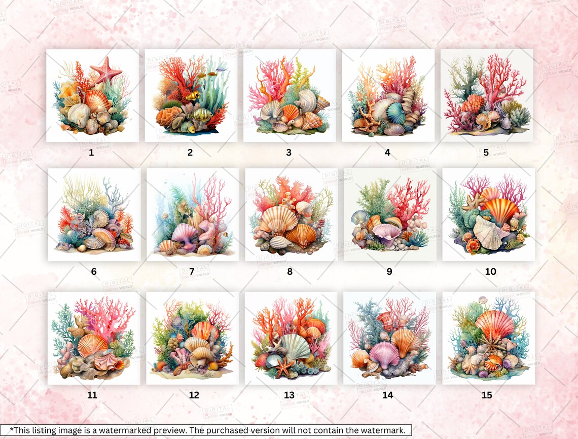 Watercolor Seashell Clipart, Coral Reef PNG Bundle (digital Download ...