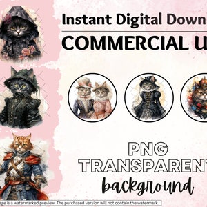 41 PNG Watercolor Fairytale Cats Clipart Bundle, Vintage Fairytale ...
