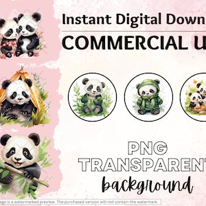 40 Watercolor Cute Pandas Clipart, PNG Nursery Decor Baby Panda ...