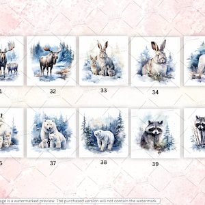 40 Watercolor Winter Animals Clipart, Polar Bear, PNG Christmas Winter ...