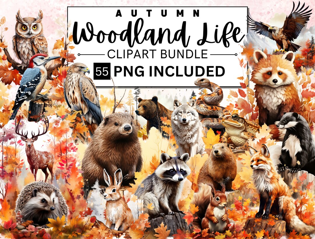 55 Autumn Watercolor Woodland Animals Clipart, Nursery Clipart Bundle ...