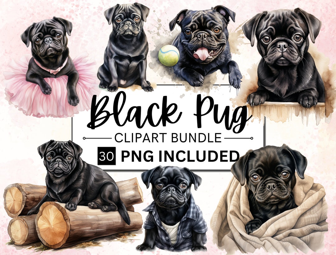 30 Black Pug Clipart BUNDLE, Watercolor Pug PNG Clipart Dog PNG | Cute ...