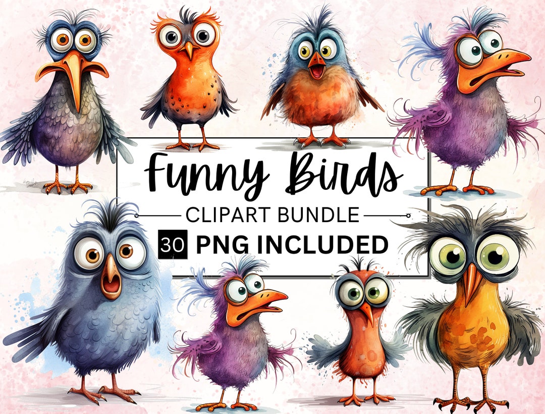 30 Funny Bird Clipart Bundle, Quirky and Funny Bird Illustrations ...