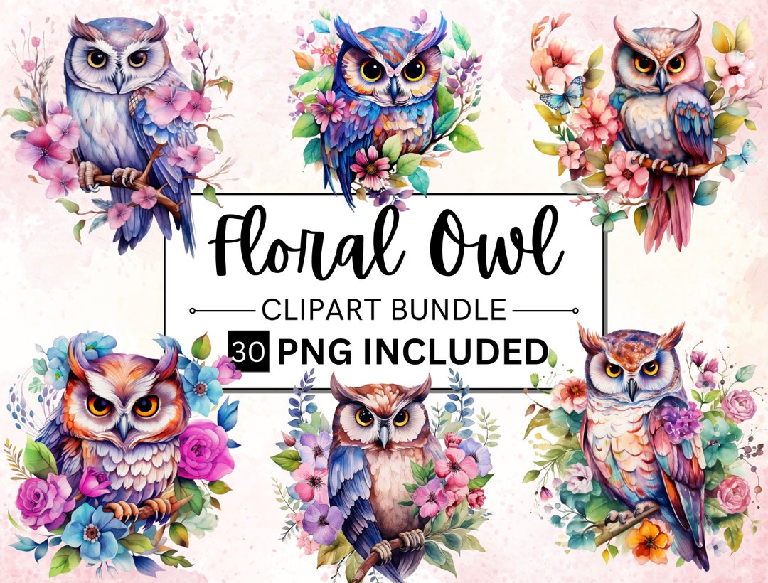 30 Owl Colorful Clipart Watercolor Illustration Spring Floral Digital ...