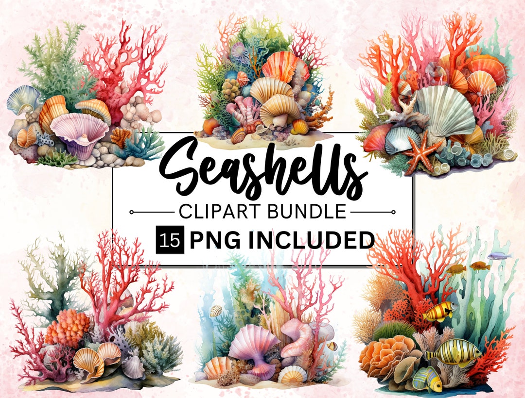 15 Watercolor Seashell Clipart, Coral Reef Seashells Clipart, Beach ...