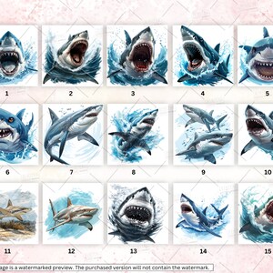 25 Watercolor Shark Clipart Bundle, Sea Creatures PNG, Underwater Art ...