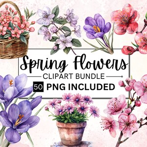 50 Watercolor Spring Flower Garden Clipart, Spring Meadow PNG Bundle ...