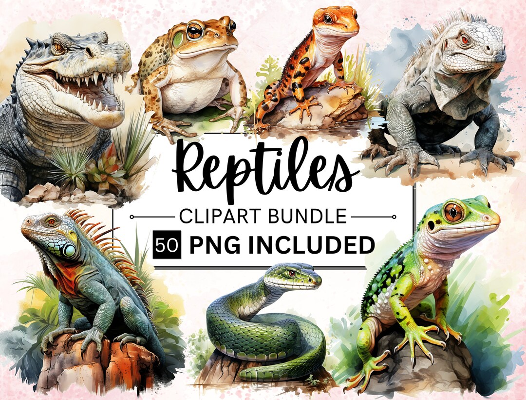 50 Watercolor Reptiles Clipart PNG Bundle, Chameleon, Lizard, Snake ...