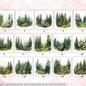20 Watercolor Forest Tree Clipart, Pine Tree Png , Woodland Tree ...