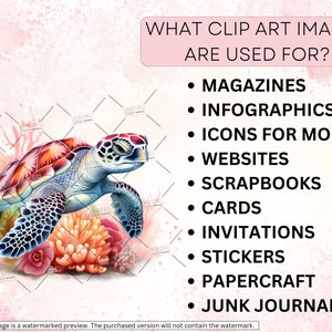 25 Watercolor Sea Turtle Clipart, Cute Nautical Ocean Animals PNG ...