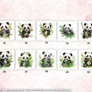 40 Watercolor Cute Pandas Clipart, PNG Nursery Decor Baby Panda ...