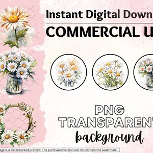 30 PNG Watercolor Daisies Clipart, Daisy PNG Clip Art Bundle, Spring ...