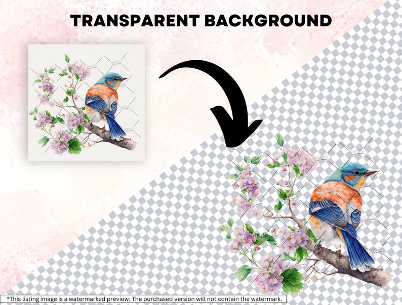 50 Watercolor Birds Clip Art Colorful Birds Clipart Spring - Etsy