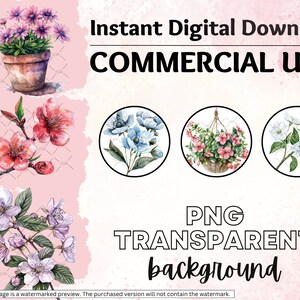 50 Watercolor Spring Flower Garden Clipart, Spring Meadow PNG Bundle ...