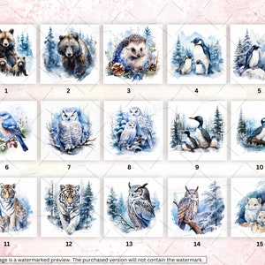 40 Watercolor Winter Animals Clipart, Polar Bear, PNG Christmas Winter ...