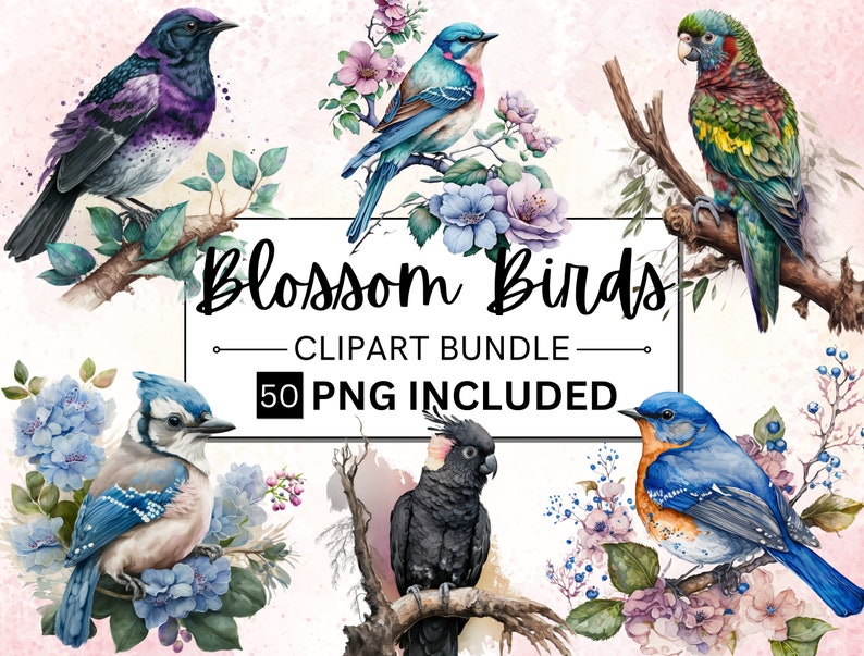 50 Watercolor Birds Clip Art Colorful Birds Clipart Spring - Etsy Canada
