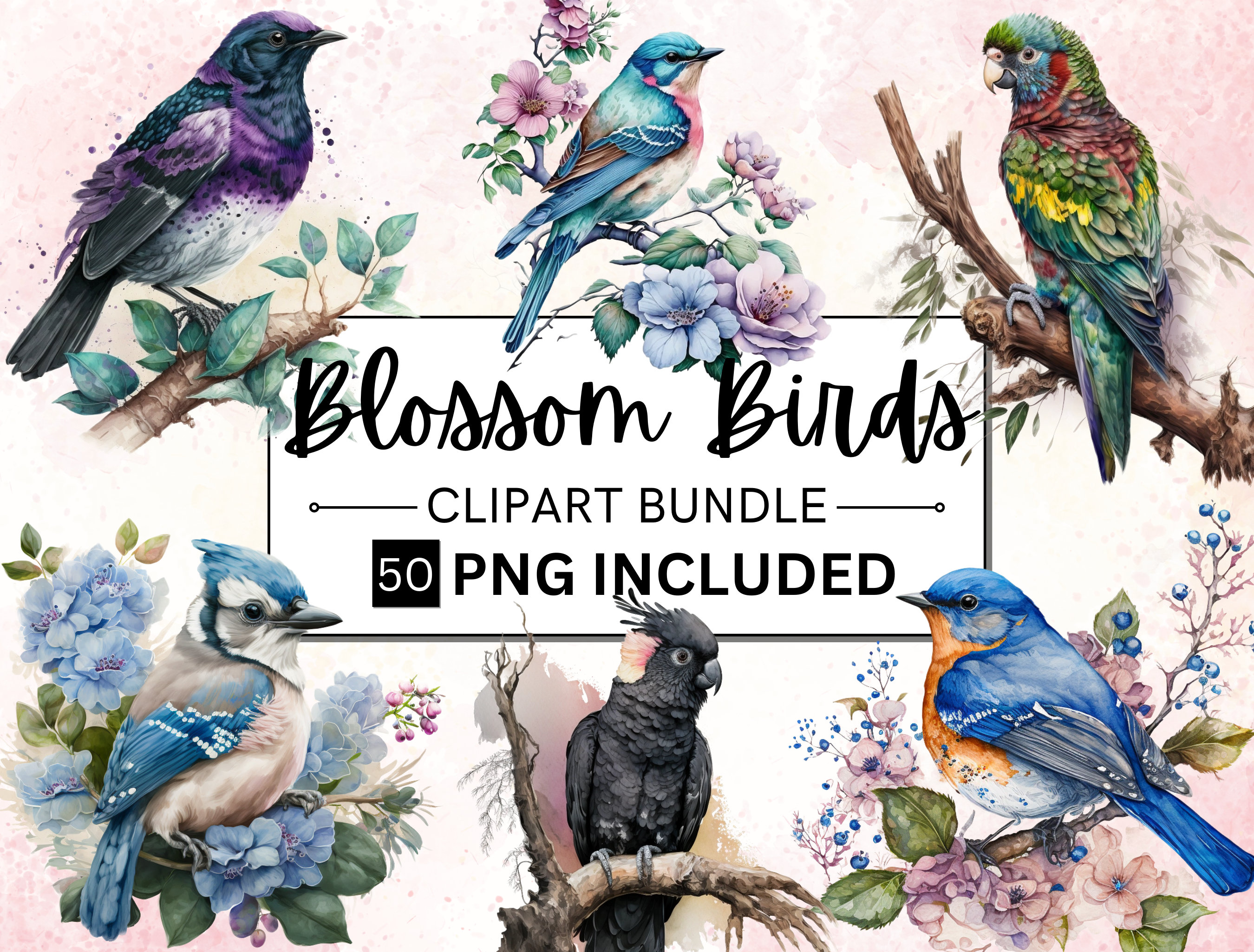 50 Watercolor Birds Clip Art Colorful Birds Clipart Spring - Etsy Canada