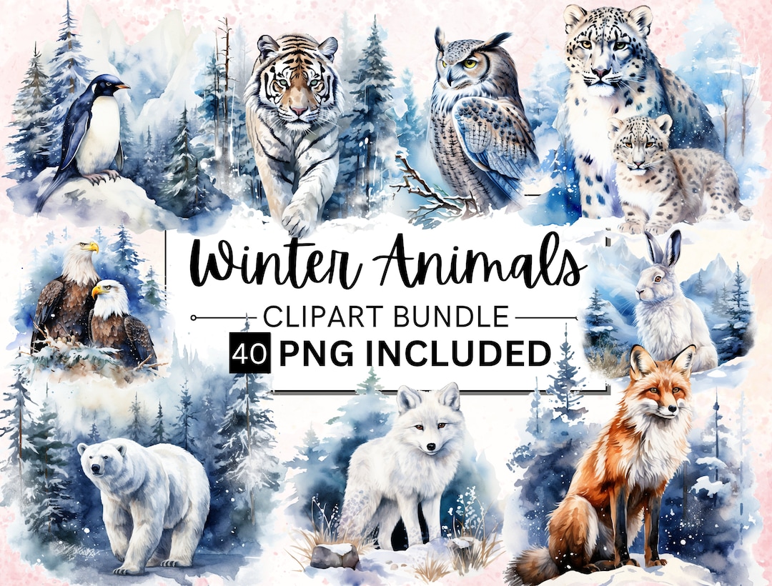 40 Watercolor Winter Animals Clipart, Polar Bear, PNG Christmas Winter ...