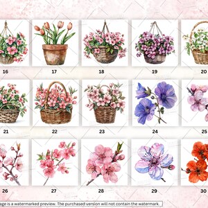 50 Watercolor Spring Flower Garden Clipart, Spring Meadow PNG Bundle ...