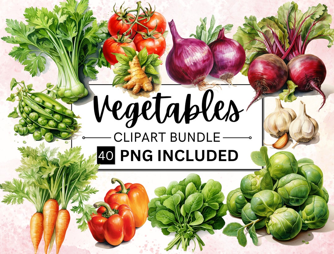 40 Watercolor Vegetables PNG Clipart Bundle, Tomato, Carrot, Corn ...