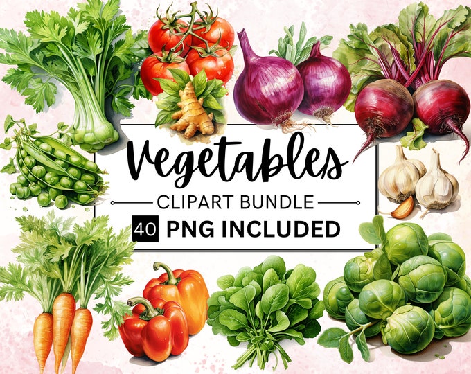 45 Watercolor Vegetables PNG Clipart Bundle, Tomato, Carrot, Corn ...