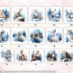 40 Watercolor Winter Animals Clipart, Polar Bear, PNG Christmas Winter ...