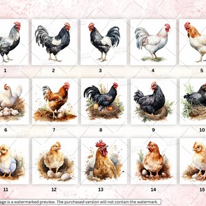25 Watercolor Chicken Clipart, Farm Animals Clipart, Hen Clipart ...