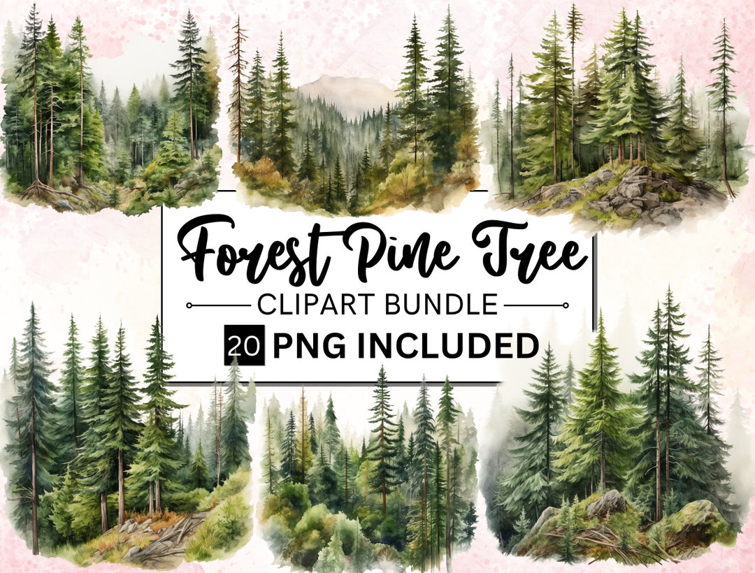 20 Watercolor Forest Tree Clipart, Pine Tree Png , Woodland Tree ...