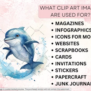 40 Watercolor Dolphin Clipart Bundle, PNG Ocean Animals, Dolphin Duo ...