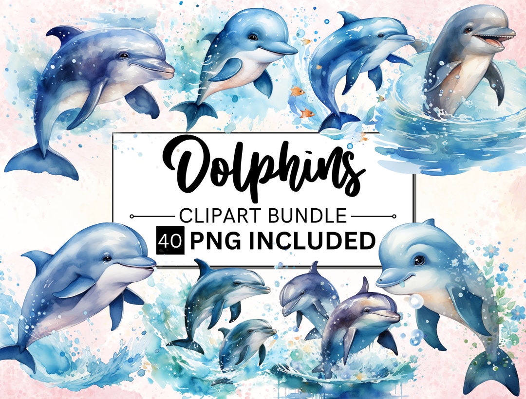 40 Watercolor Dolphin Clipart Bundle, PNG Ocean Animals, Dolphin Duo ...
