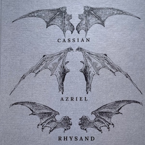 ACOTAR Inspired Bat Boys Illyrian A5 Hardback Journal Rhysand Cassian ...