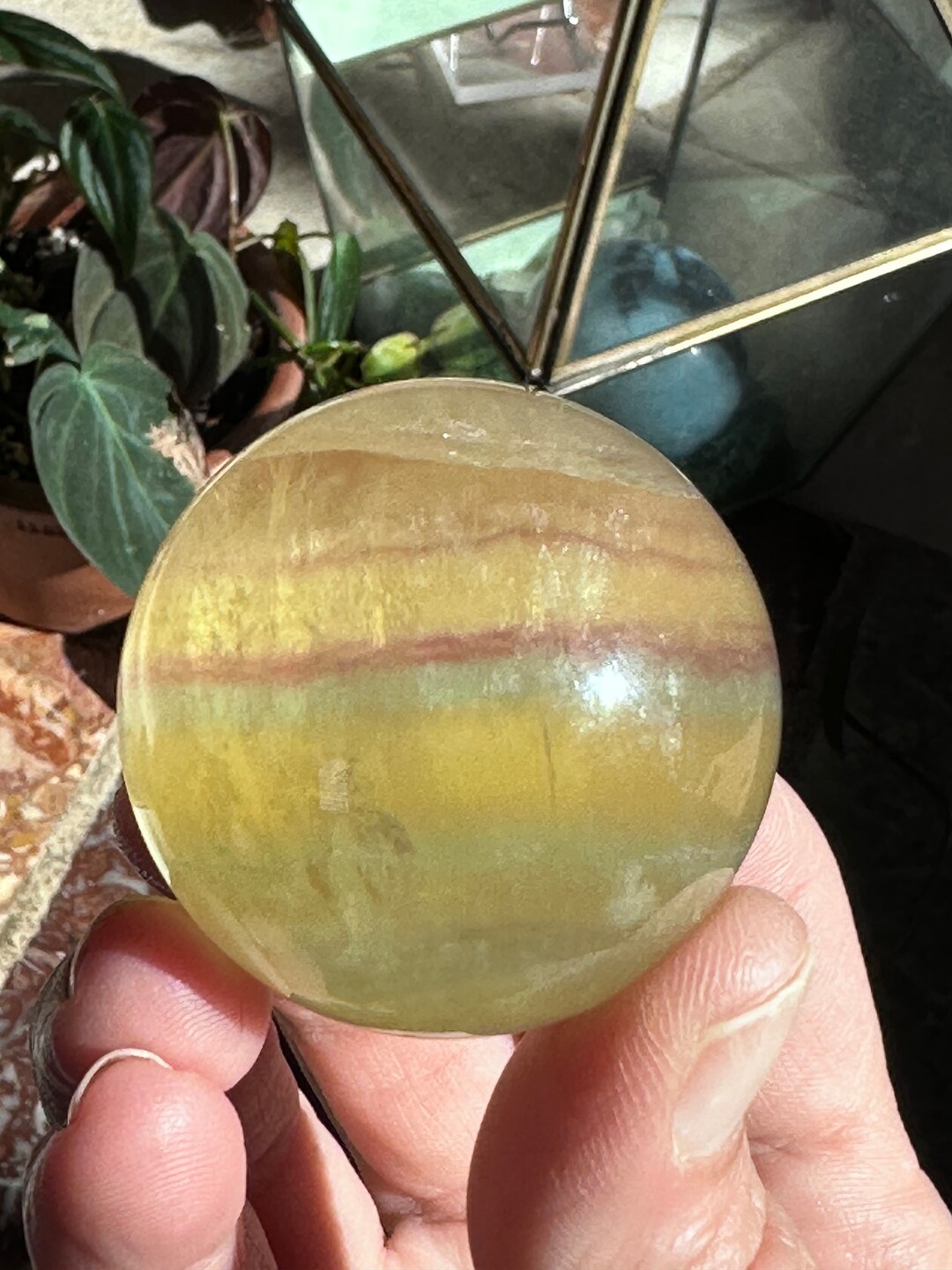 Yellow Candy Fluorite With Pink Banding Sphere - Etsy