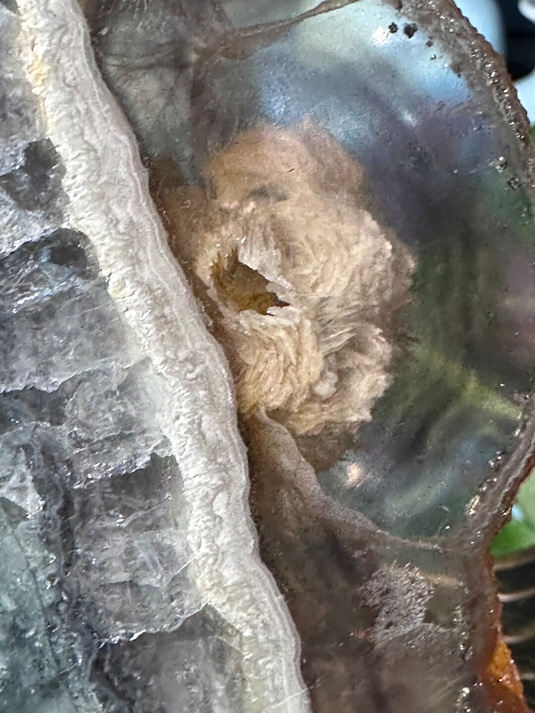 Unusual Clear Fluorite, Barite With Golden Pyrite and Druzy Slab - Etsy