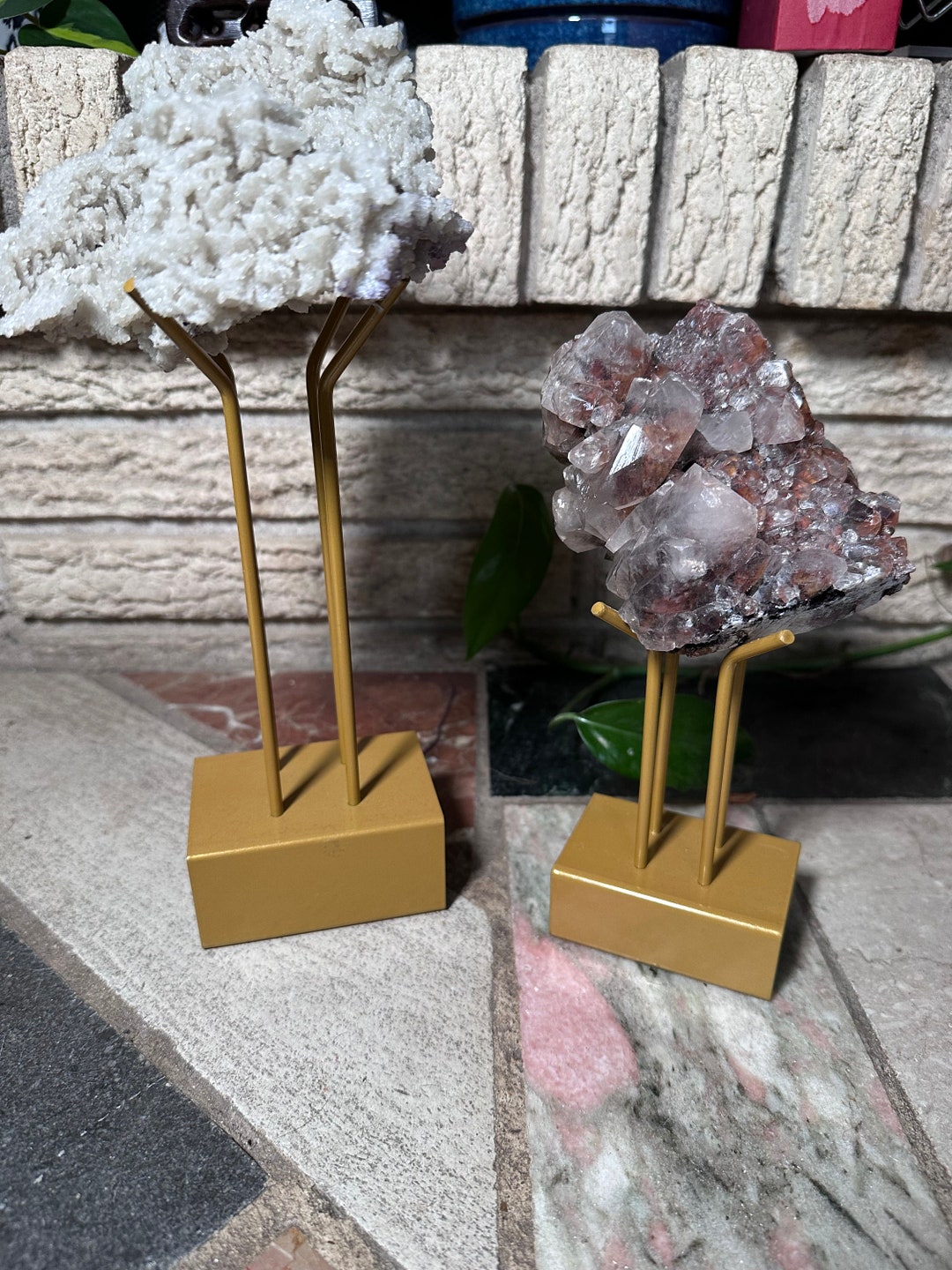 Specimen Holder. Specimen Display Specimen Stand - Etsy