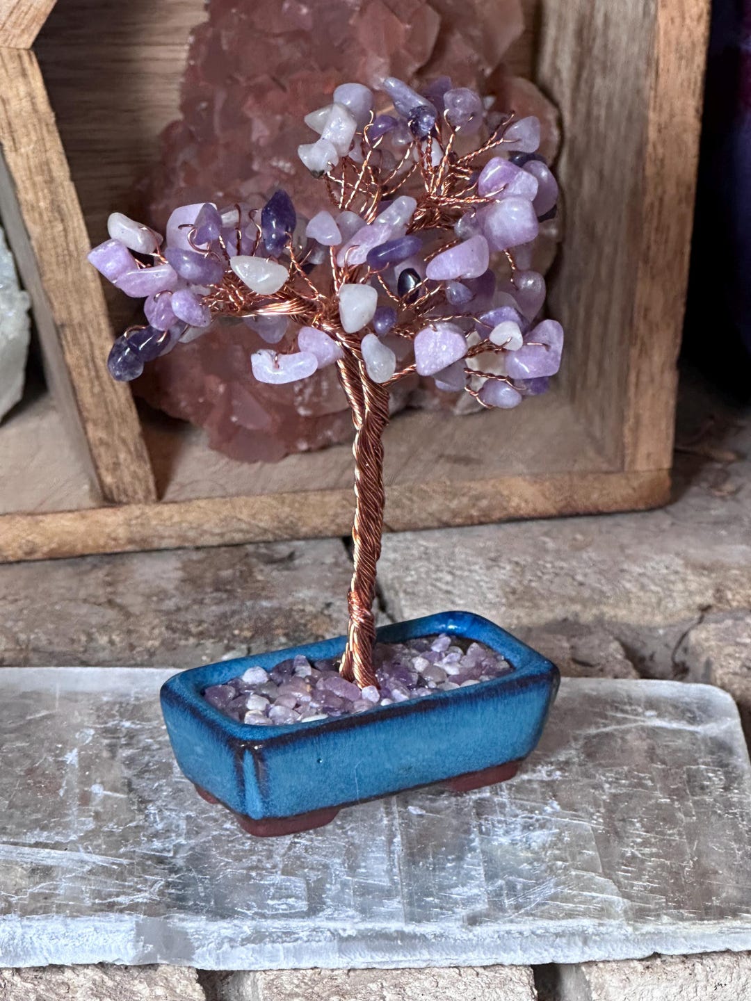 Amethyst Money Tree in Ceramic Pot - Etsy