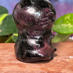 Lucky Cat Garnet and Astrophyllite. Vlue Firework Stone Flash - Etsy