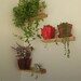 Solid Wood Single Wall Shelf - Etsy