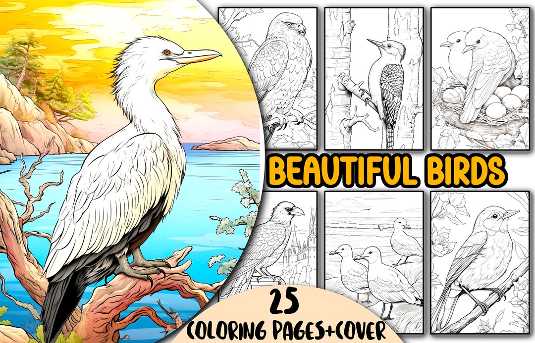 25 Beautiful Birds Coloring Page Book for Adults, Teens, and Kids, Bird ...