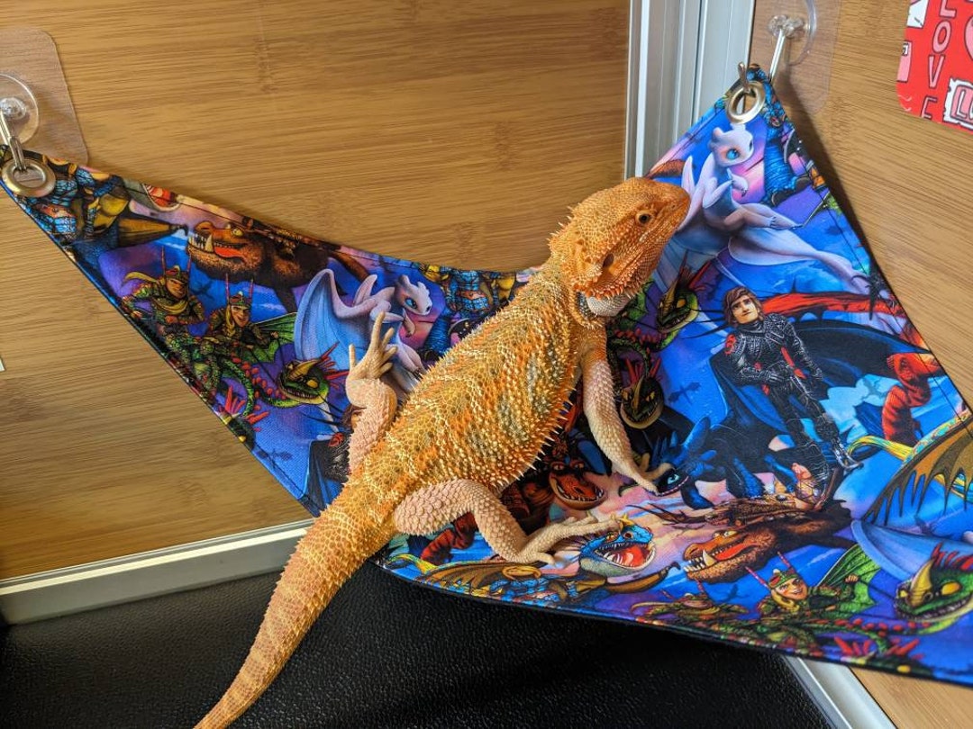 Toothless How to Train Your Dragon Bearded Dragon Hammock (multiple ...