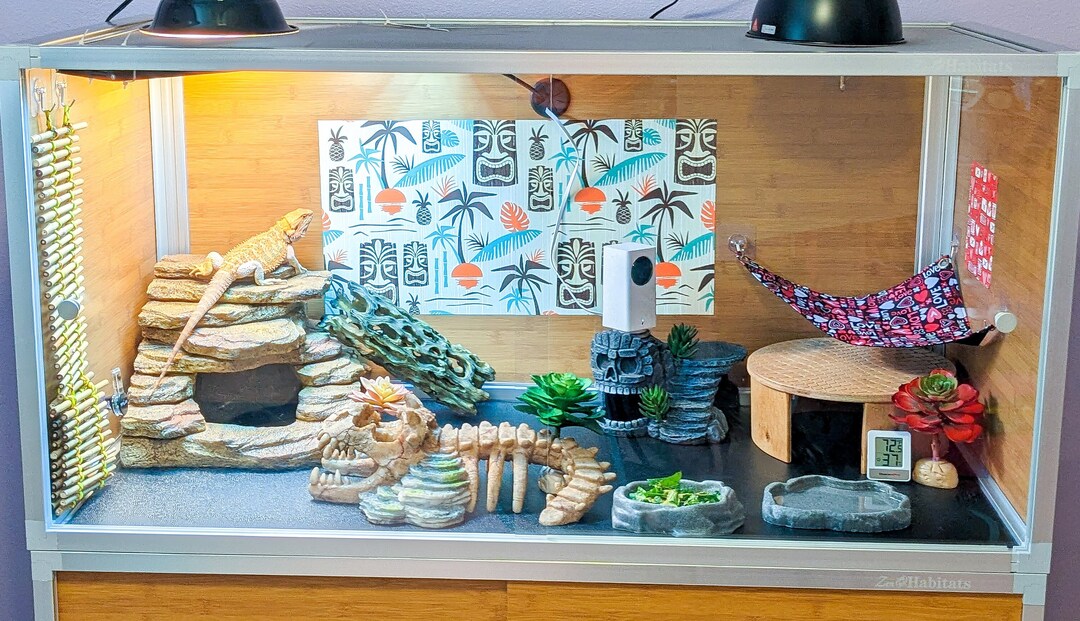 Reptile Enclosure Backdrop Animal Safe Bearded Dragon Tank Decor - Etsy
