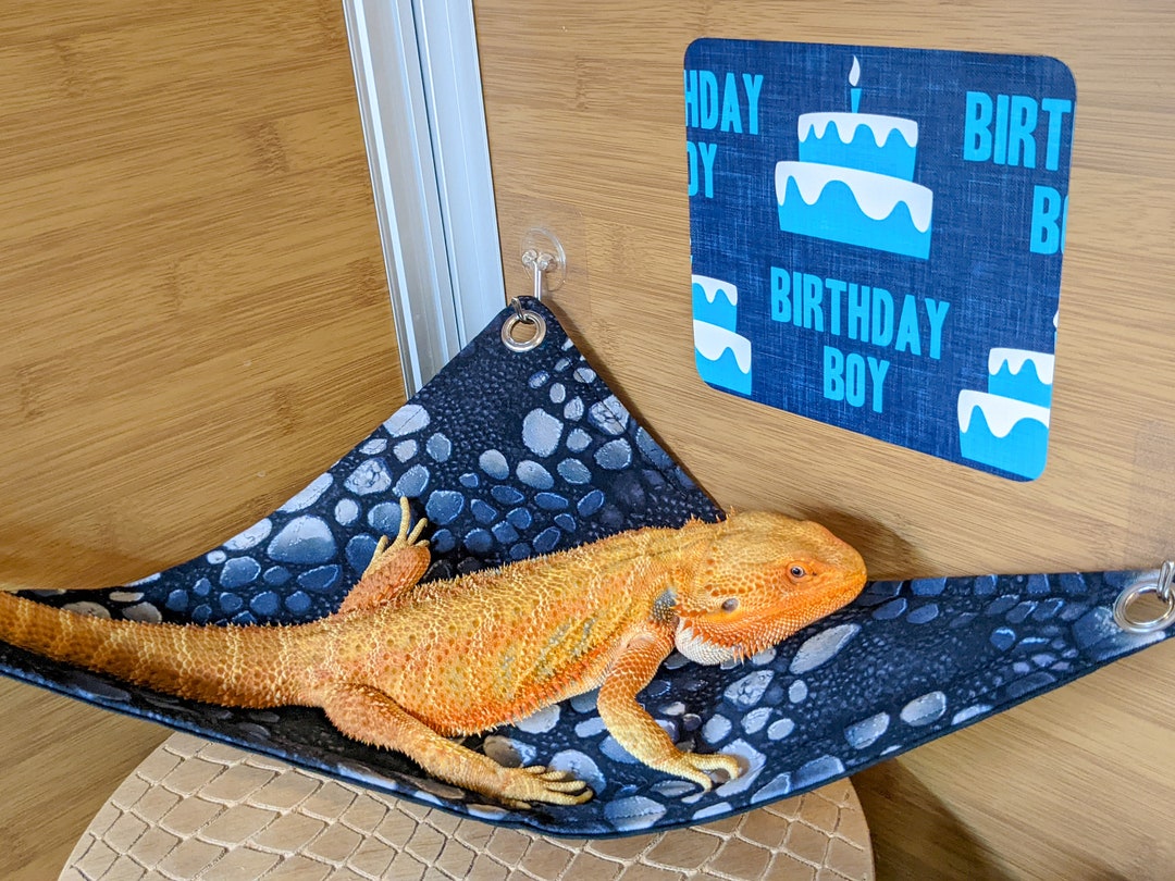 Bearded Dragon Birthday Background Habitat Art Accessories for Bearded ...