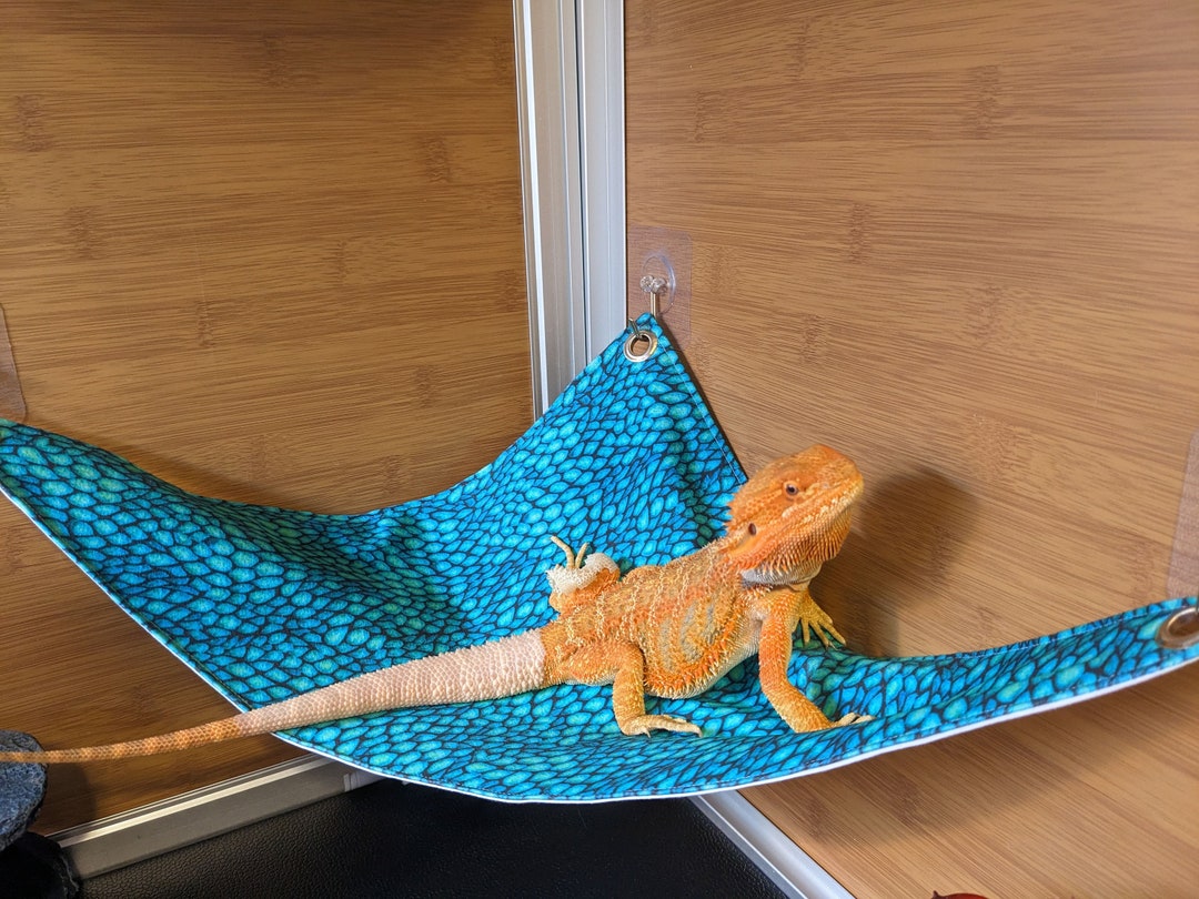 Bearded Dragon Scale Hammock - Etsy